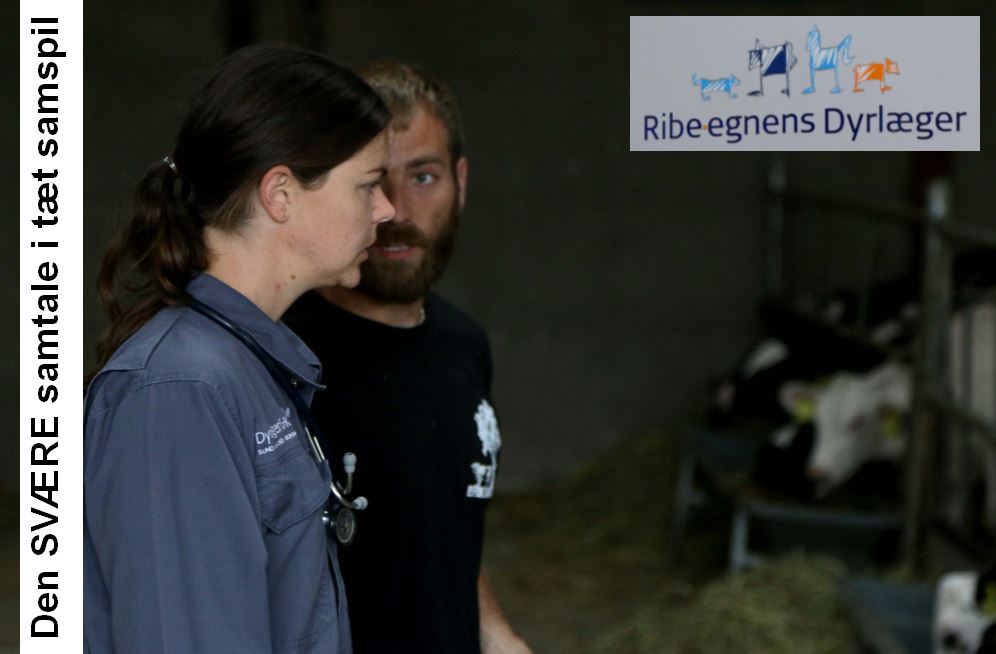 Dyrlægen må være i god form samt mestre den "svære samtale", når der skal gøres status! - Ryk Ind