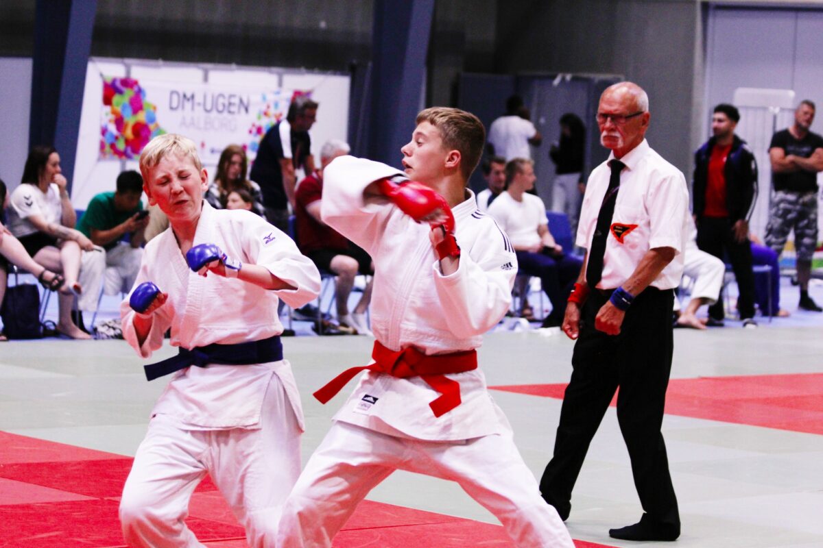 Ribe Ju-Jutsu har fået tre guldmedaljer og mange flere medlemmer - Ryk Ind