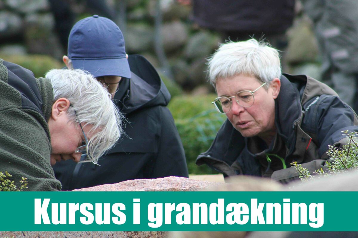 Kreativiteten fik frit spil på kirkegården ved Hjortlund Kirke, da 69 gravere var på kursus ...