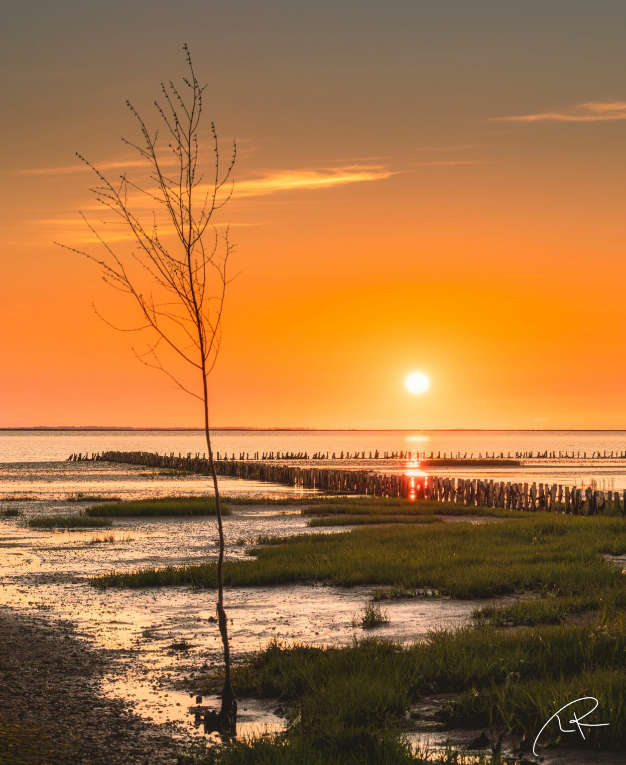 Ribe Bryghus og Lars Roed Skaber Unik Ølkasse med Vadehavsmotiv til ...