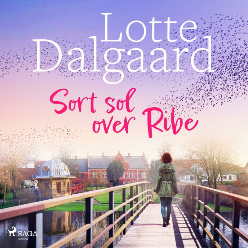 Sort sol over Ribe – en roman der fanger med det samme - Ryk Ind