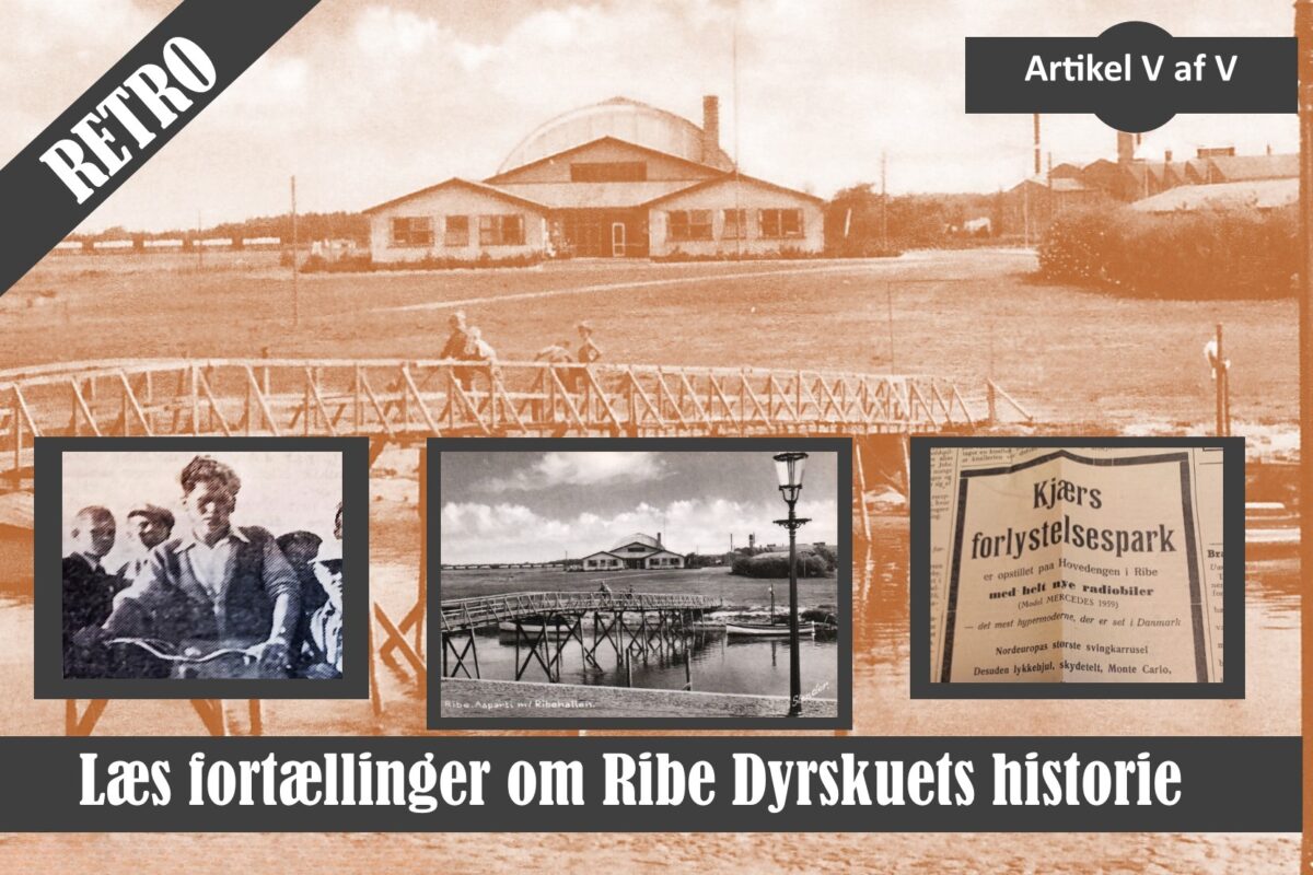 Ribe Dyrskues historie: Danmarks befrielse og 1950’ernes opblomstring (V) - Ryk Ind